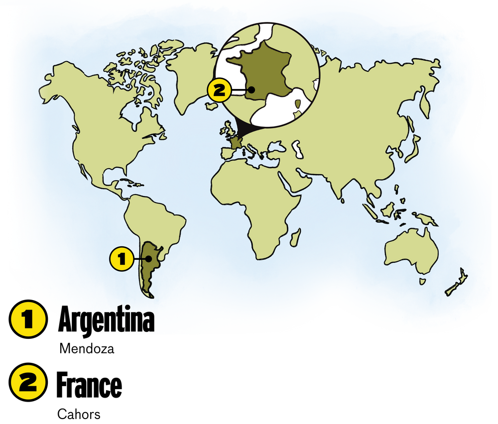 Malbec: Taste, Styles, Food Pairings & More! | Good Pair Days