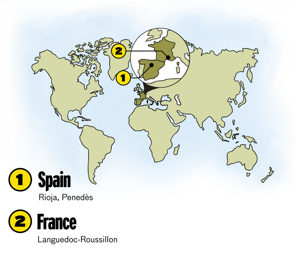 Wine Subscriptions Paired To Your Tastes | Good Pair Days