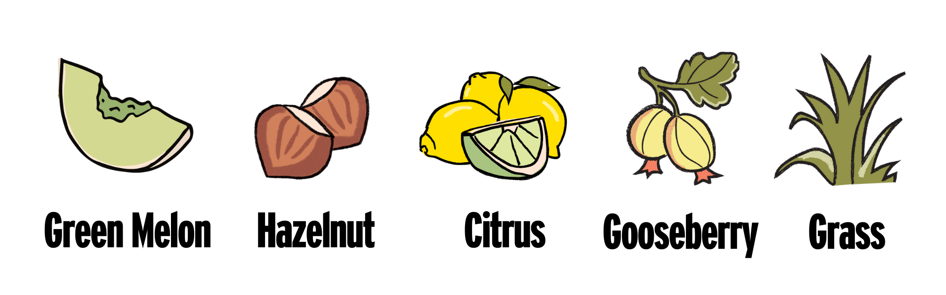 Wine Subscriptions Paired To Your Tastes | Good Pair Days