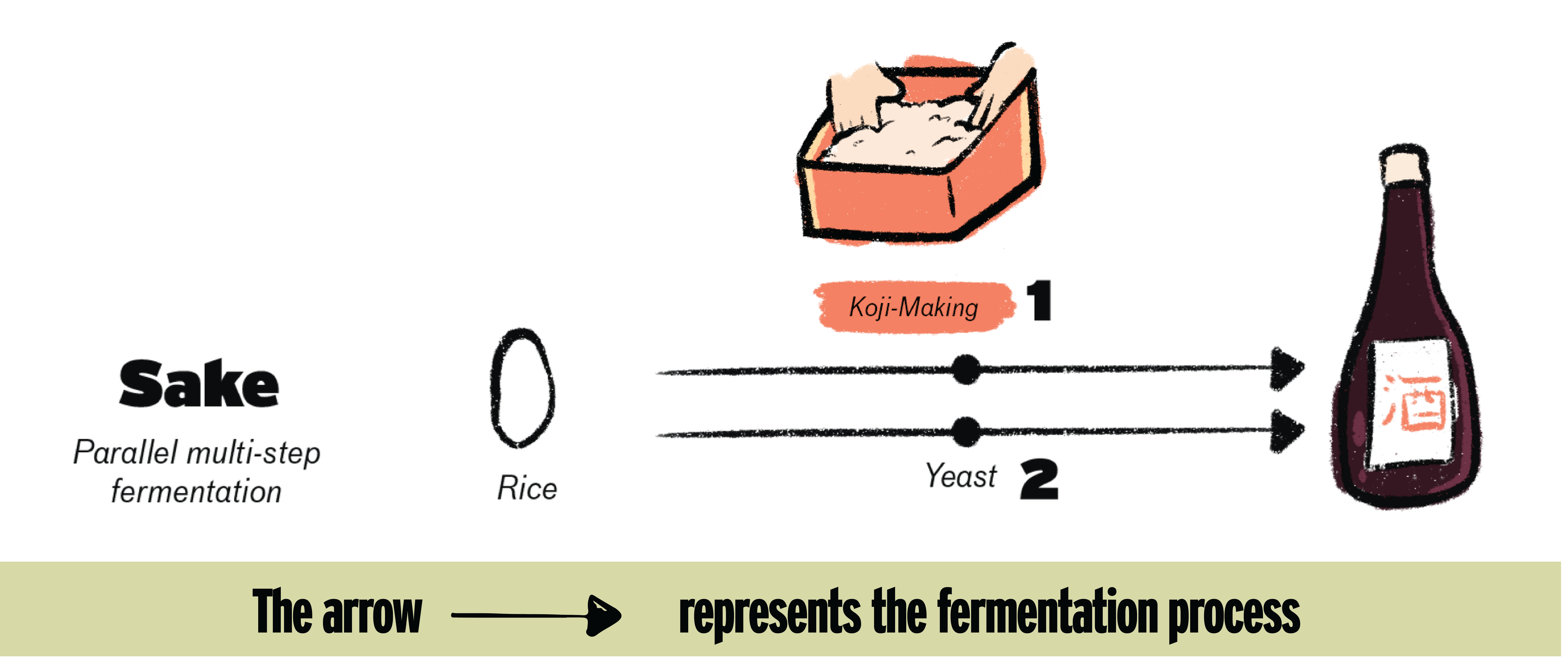 Your Sake Glossary to 10 of the Must-Know Sake Terms